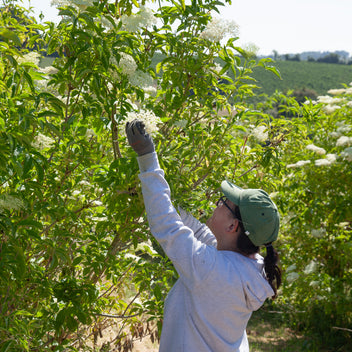 Dalston's Soda Story | Made By Chefs | Certified B Corporation